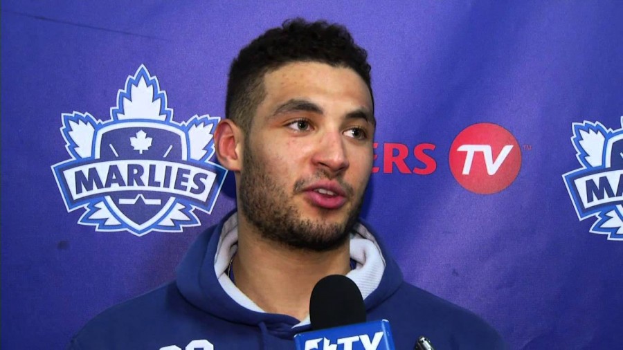 Meet The Caribbean-Roots Players Of The National Hockey League | News ...