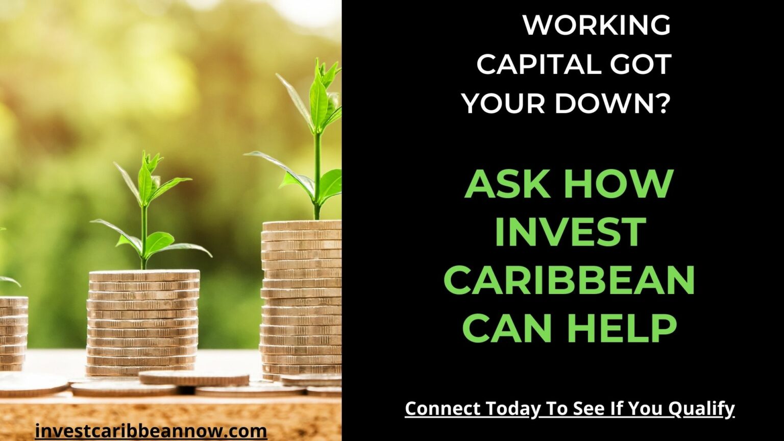 Caribbean Business News Round-Up | News Americas Now