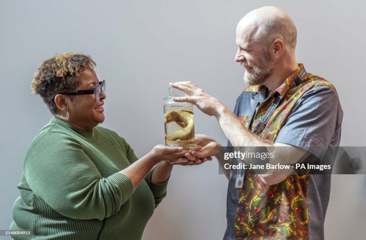 Caribbean News Now: Landmark Collaboration for Repatriation of a ...